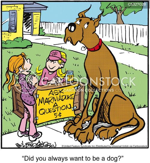 Canine Career Path Cartoons and Comics - funny pictures from CartoonStock