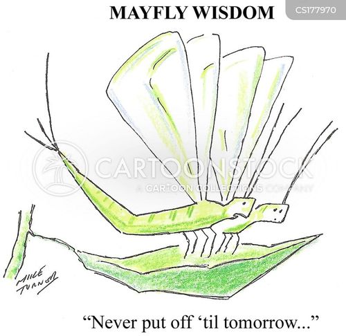 Mayfly Cartoons and Comics - funny pictures from CartoonStock