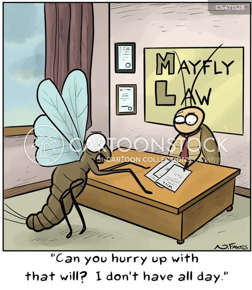 Mayfly Cartoons and Comics - funny pictures from CartoonStock