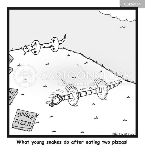 Rolling Down A Hill Cartoons and Comics - funny pictures from CartoonStock