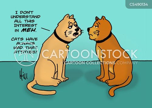 Meh Cartoons and Comics - funny pictures from CartoonStock