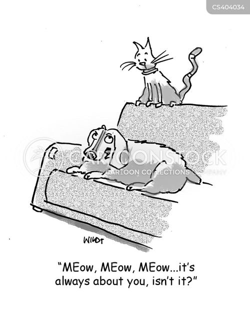Meow Cartoons and Comics - funny pictures from CartoonStock