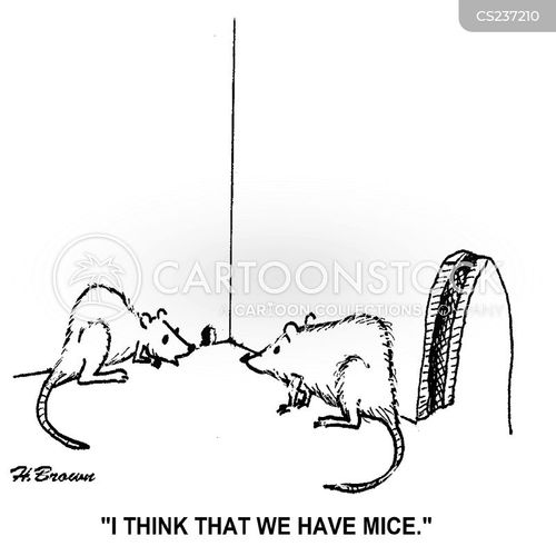Mouse Infestation Cartoons and Comics - funny pictures from CartoonStock