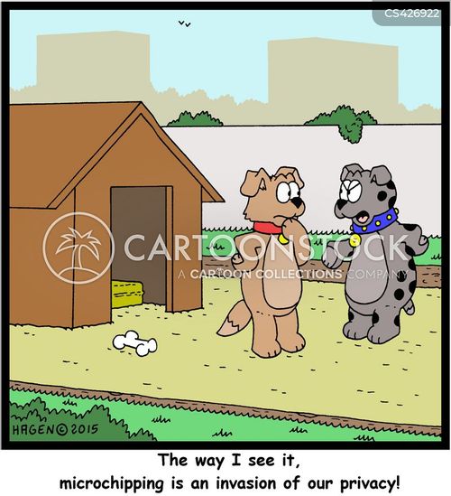 Privacy Rights Cartoons and Comics - funny pictures from CartoonStock