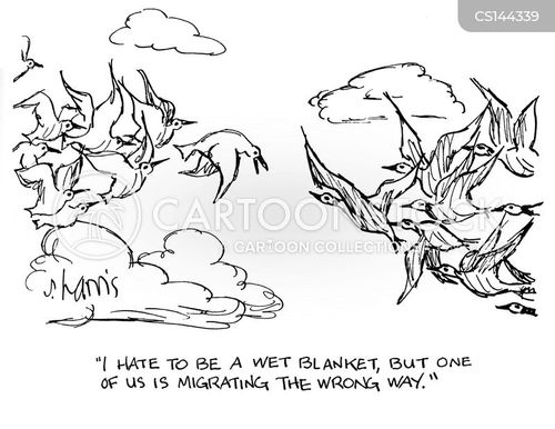 Bad Directions Cartoons and Comics - funny pictures from CartoonStock