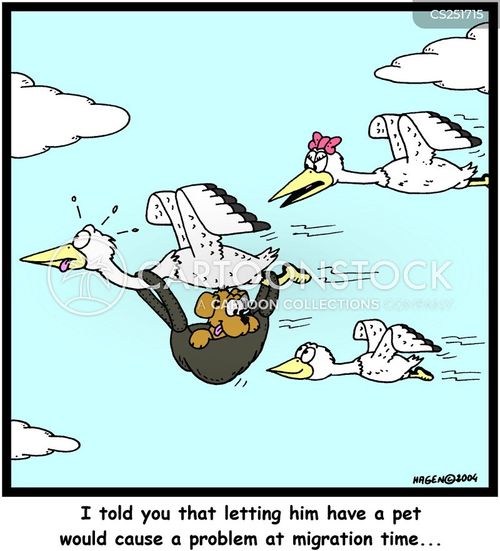 Pet Cause Cartoons and Comics - funny pictures from CartoonStock