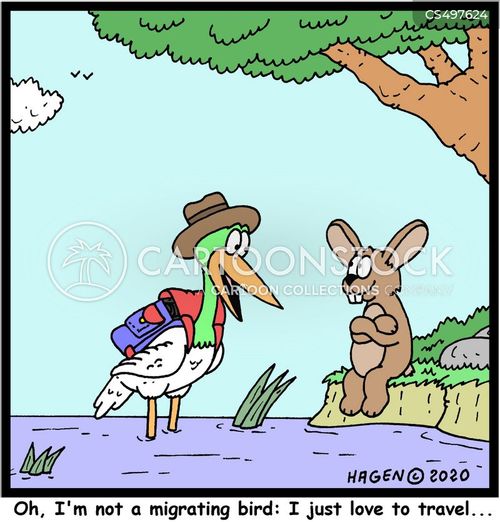 Animal Migration Cartoon
