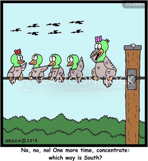 Migration Pattern Cartoons and Comics - funny pictures from CartoonStock