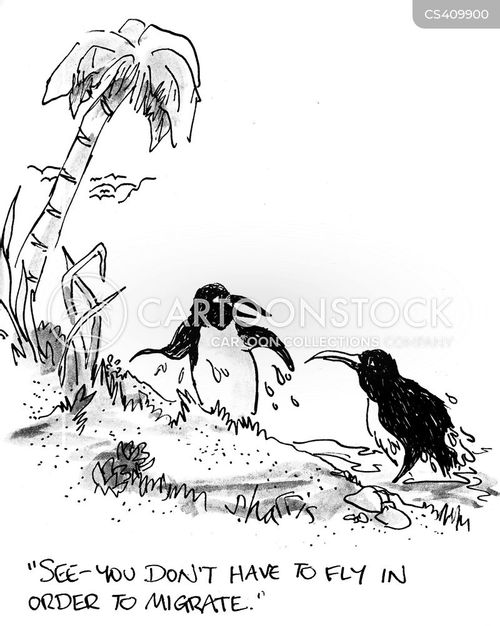 Migration Route Cartoons and Comics - funny pictures from CartoonStock