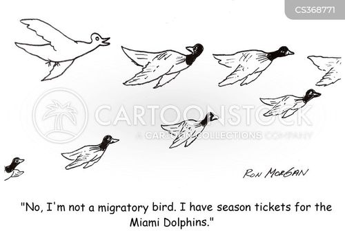 Migratory Birds Cartoons and Comics - funny pictures from CartoonStock