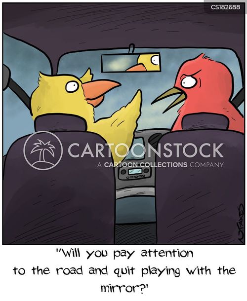Annoying Drivers Cartoons and Comics - funny pictures from CartoonStock