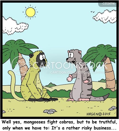 Mongoose Cartoons and Comics - funny pictures from CartoonStock