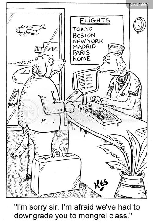 Checkin Cartoons and Comics - funny pictures from CartoonStock