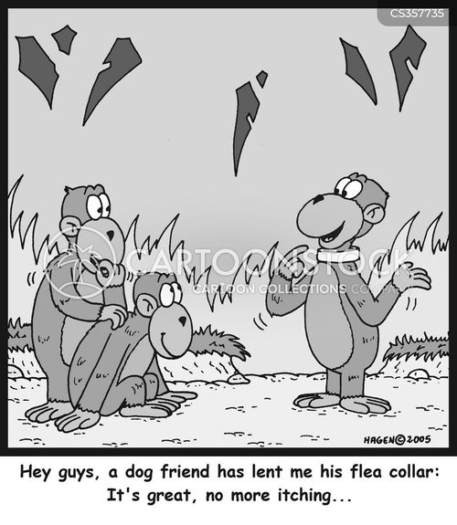 Louse Cartoons and Comics - funny pictures from CartoonStock