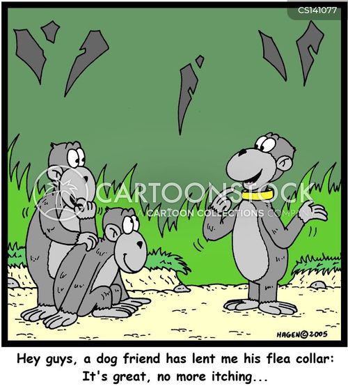 Louse Cartoons and Comics - funny pictures from CartoonStock