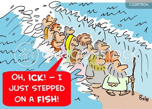 Parting Red Sea Cartoons and Comics - funny pictures from CartoonStock