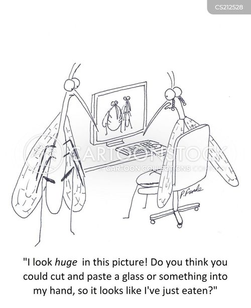 Crane Fly Cartoons and Comics - funny pictures from CartoonStock