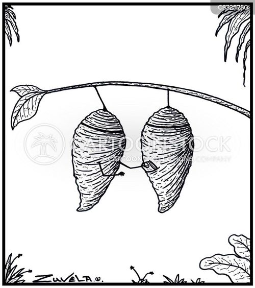 Cocoon Cartoons and Comics - funny pictures from CartoonStock