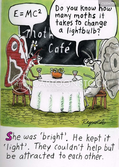 Moth Cartoons and Comics - funny pictures from CartoonStock