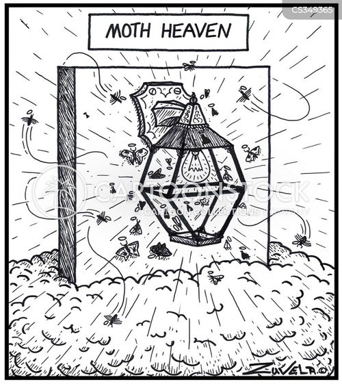 Hanging Animals Cartoons and Comics - funny pictures from CartoonStock