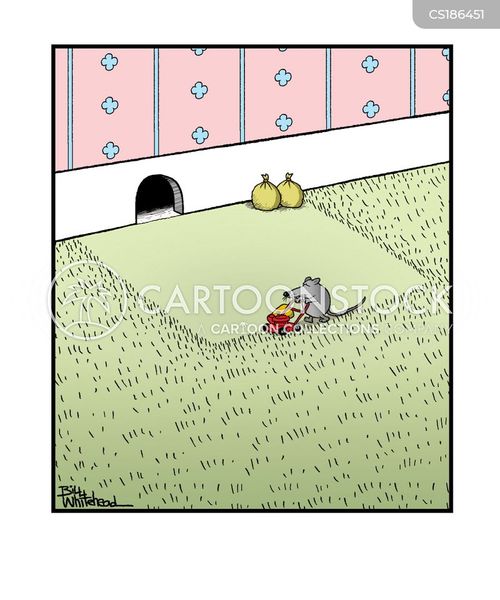 Mice Cartoons and Comics - funny pictures from CartoonStock