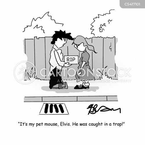 Mice Trap Cartoons and Comics - funny pictures from CartoonStock