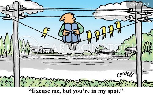 Bird On A Wire Cartoons and Comics - funny pictures from CartoonStock