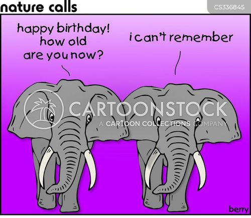 Forget Age Cartoons and Comics - funny pictures from CartoonStock
