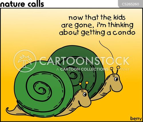 Slow Thinker Memes Aled Lewis (aledlewis) On Pinterest