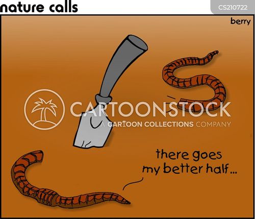Better Half Cartoons and Comics - funny pictures from CartoonStock