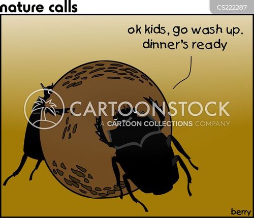 Pub Dinner Cartoons and Comics - funny pictures from CartoonStock