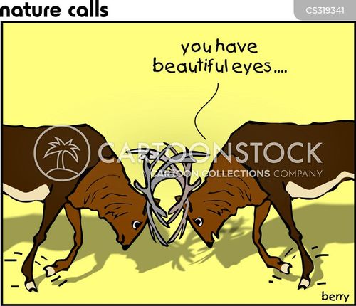 Elk Humor Cartoons and Comics - funny pictures from CartoonStock