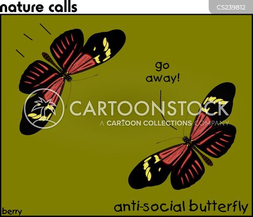 Social Butterfly Cartoons and Comics - funny pictures from CartoonStock