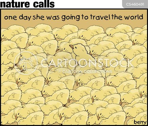 Bucket List Cartoons and Comics - funny pictures from CartoonStock