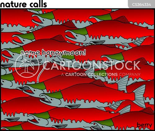 Salmon Spawning Cartoons and Comics - funny pictures from CartoonStock
