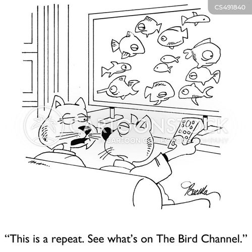 Nature Documentary Cartoons and Comics - funny pictures from CartoonStock