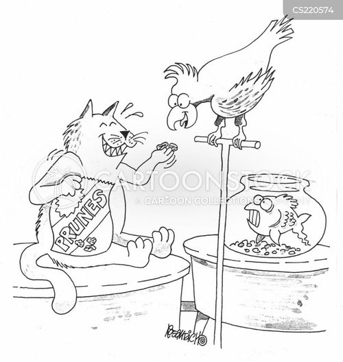 Bird Shit Cartoons and Comics - funny pictures from CartoonStock