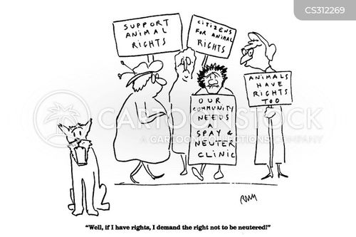 Animal Rights Activist Cartoons and Comics - funny pictures from ...