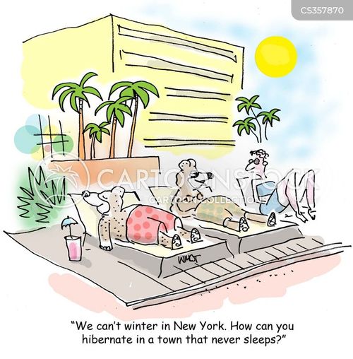Bears Hibernating Cartoons and Comics - funny pictures from CartoonStock
