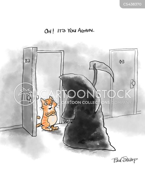 Cat Myth Cartoons and Comics - funny pictures from CartoonStock