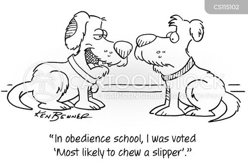 Dog School Cartoons and Comics - funny pictures from CartoonStock