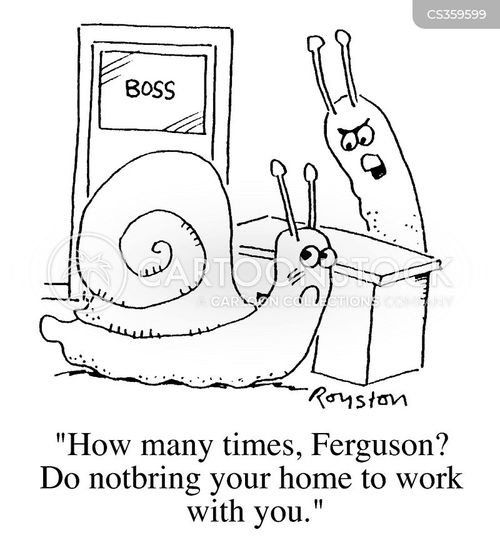 Snail Conversation Cartoons and Comics - funny pictures from CartoonStock