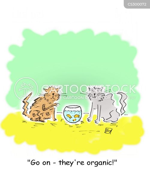 Organic Fish Cartoons and Comics - funny pictures from CartoonStock