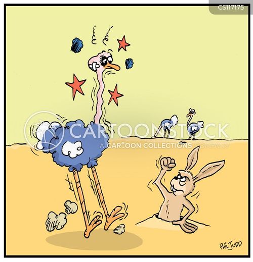 Cassowary Cartoons and Comics - funny pictures from CartoonStock