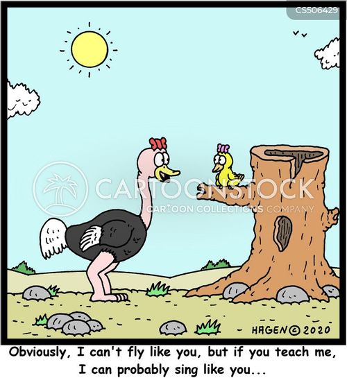 Carnary Cartoons and Comics - funny pictures from CartoonStock