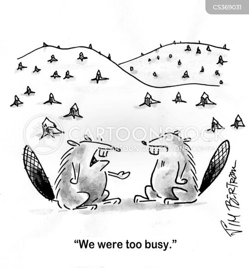 Busy Beaver Cartoons and Comics - funny pictures from CartoonStock