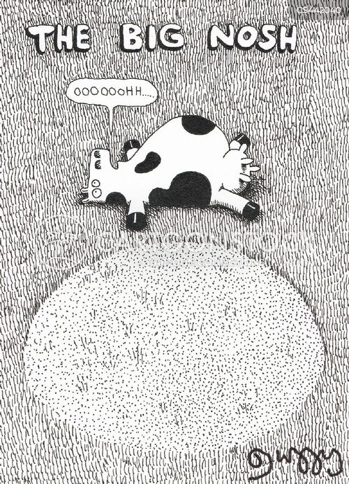 Brown Cow Cartoons and Comics - funny pictures from CartoonStock