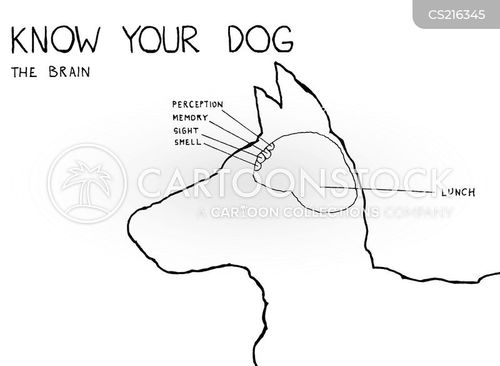 Dog Anatomy Cartoons and Comics - funny pictures from CartoonStock