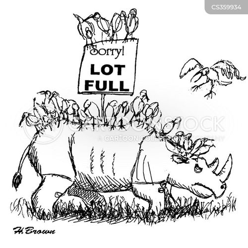 Oxpecker Cartoons and Comics - funny pictures from CartoonStock