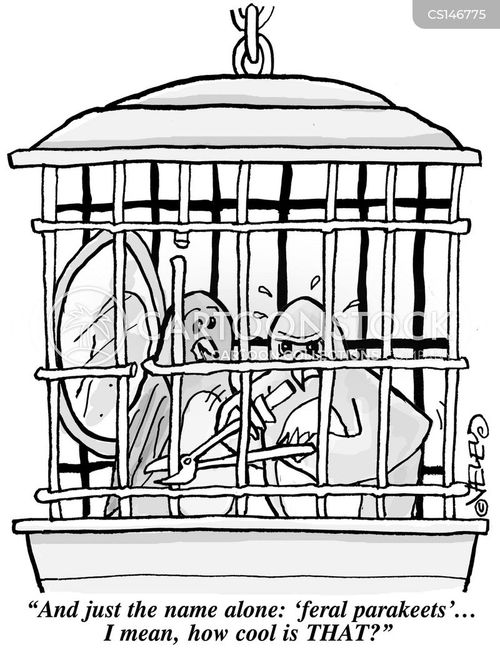 Jailbreak Cartoons and Comics - funny pictures from CartoonStock